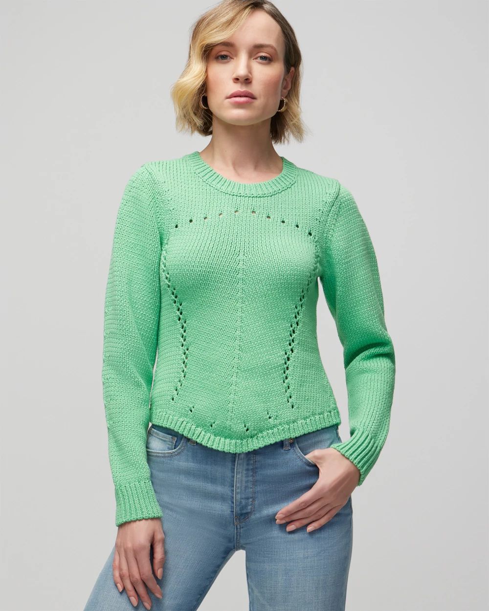 Long Sleeve Pointelle Detail Pullover | White House Black Market